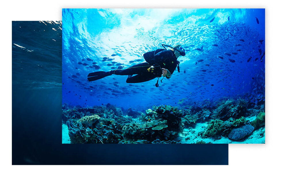 Contact | Reef Soldiers